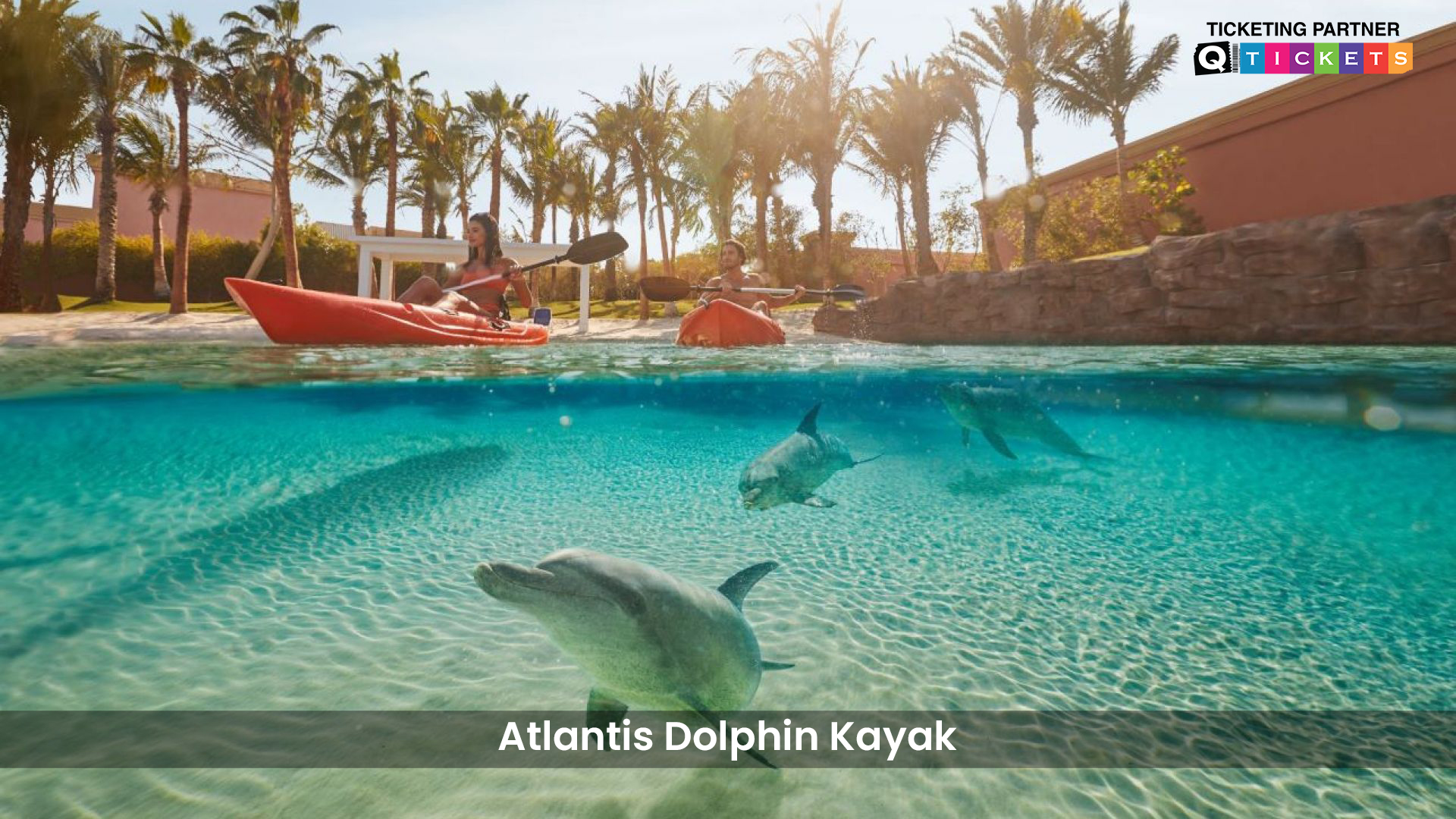 Dive into Adventure: Atlantis Dolphin Kayak Experience
